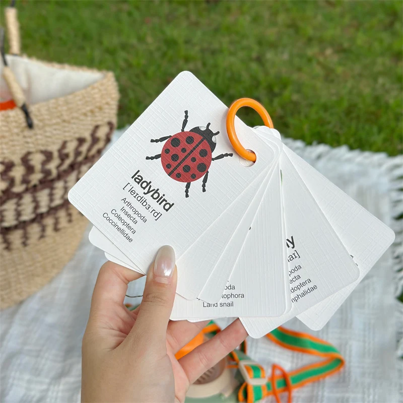Brave Child's Bug Catcher Kit - Outdoor Explorer