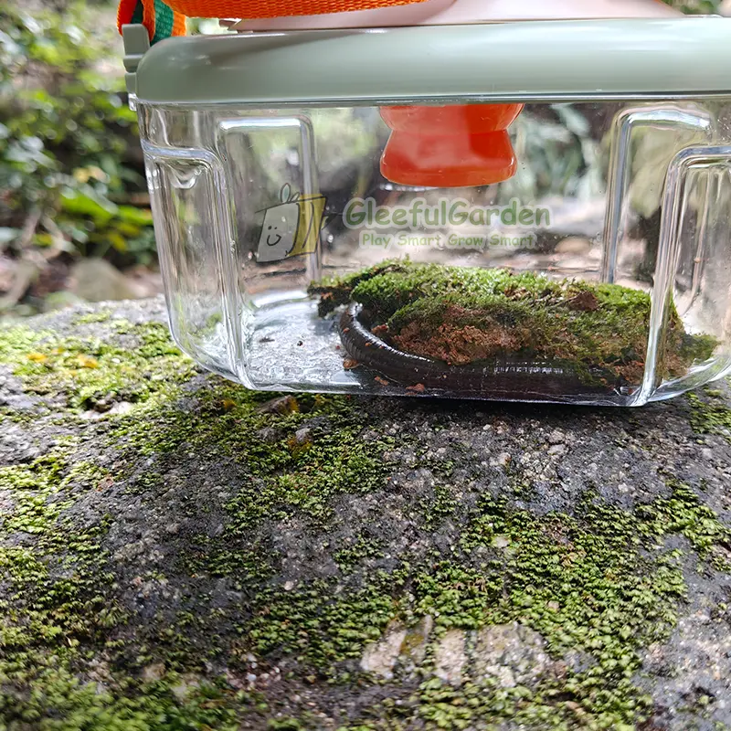 Brave Child's Bug Catcher Kit - Outdoor Explorer
