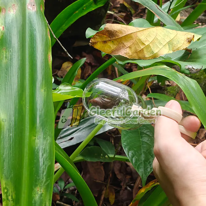 Brave Child's Bug Catcher Kit - Outdoor Explorer