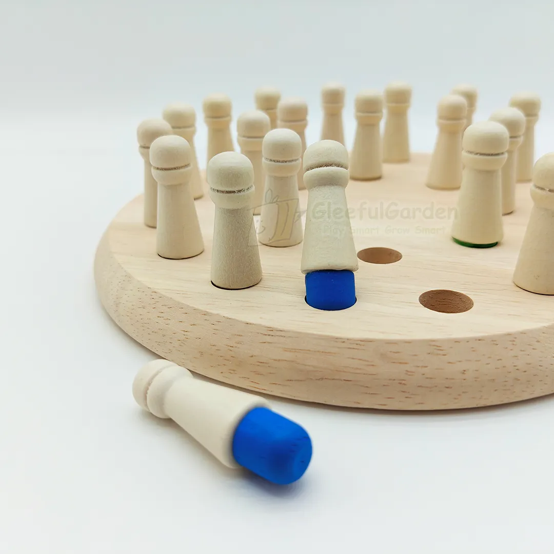Montessori Memory Game